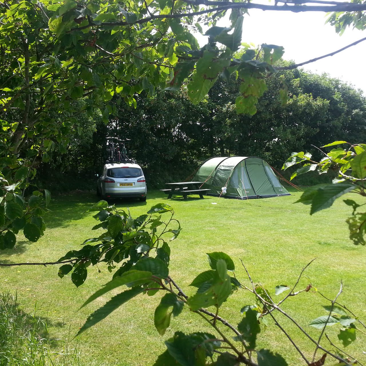 Touring & Camping - Tantallon - Meadowhead Caravan & Camping Parks