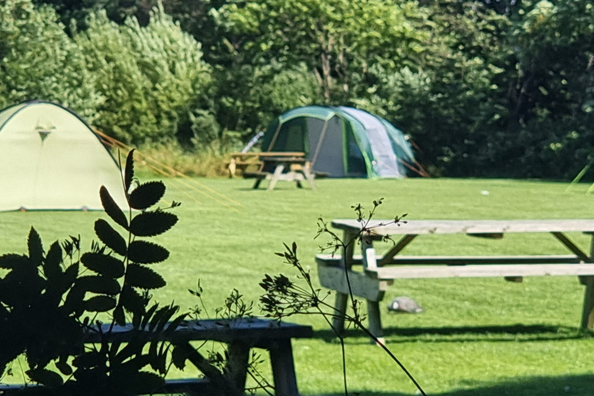 Touring & Camping - Tantallon - Meadowhead Caravan & Camping Parks